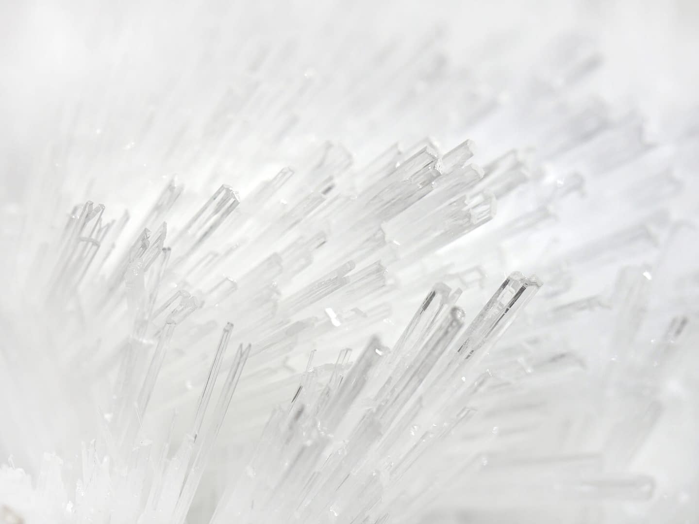 Quartz Countertops - Primus Surfaces